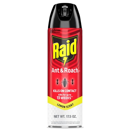 Raid Ant & Roach Killer Spray For Listed Bugs, Keeps Killing for Weeks – DECOREANO